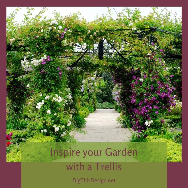 Inspire Your Garden With A Trellis - Dig This Design