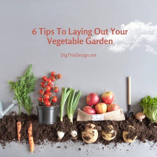 6 Tips To Laying Out Your Vegetable Garden - Dig This Design