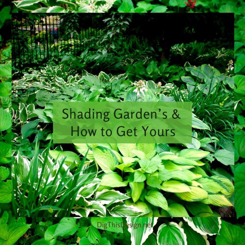 Shading Garden's & How to Get Yours - Dig This Design