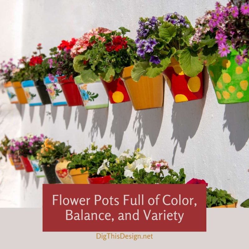 Flower Pots Full of Color, Balance, and Variety - Dig This Design