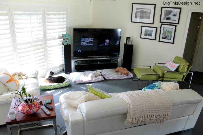 Room Décor That Intergrates Your Dogs Comforts; 10 Dog Bed Design Ideas