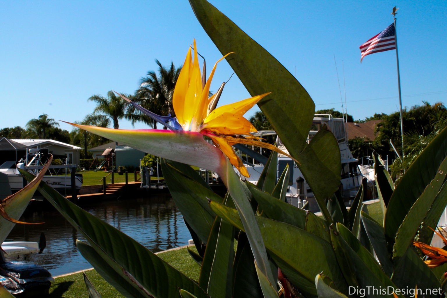 Orange is Trending in Outdoor Design! - Dig This Design