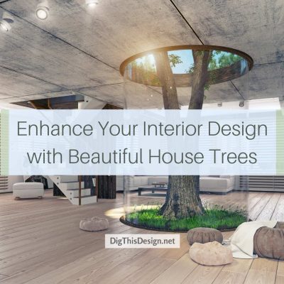 Enhance Your Interior Design with Beautiful House Trees - Dig This Design