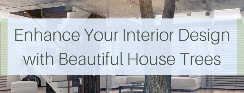 Enhance Your Interior Design with Beautiful House Trees - Dig This Design