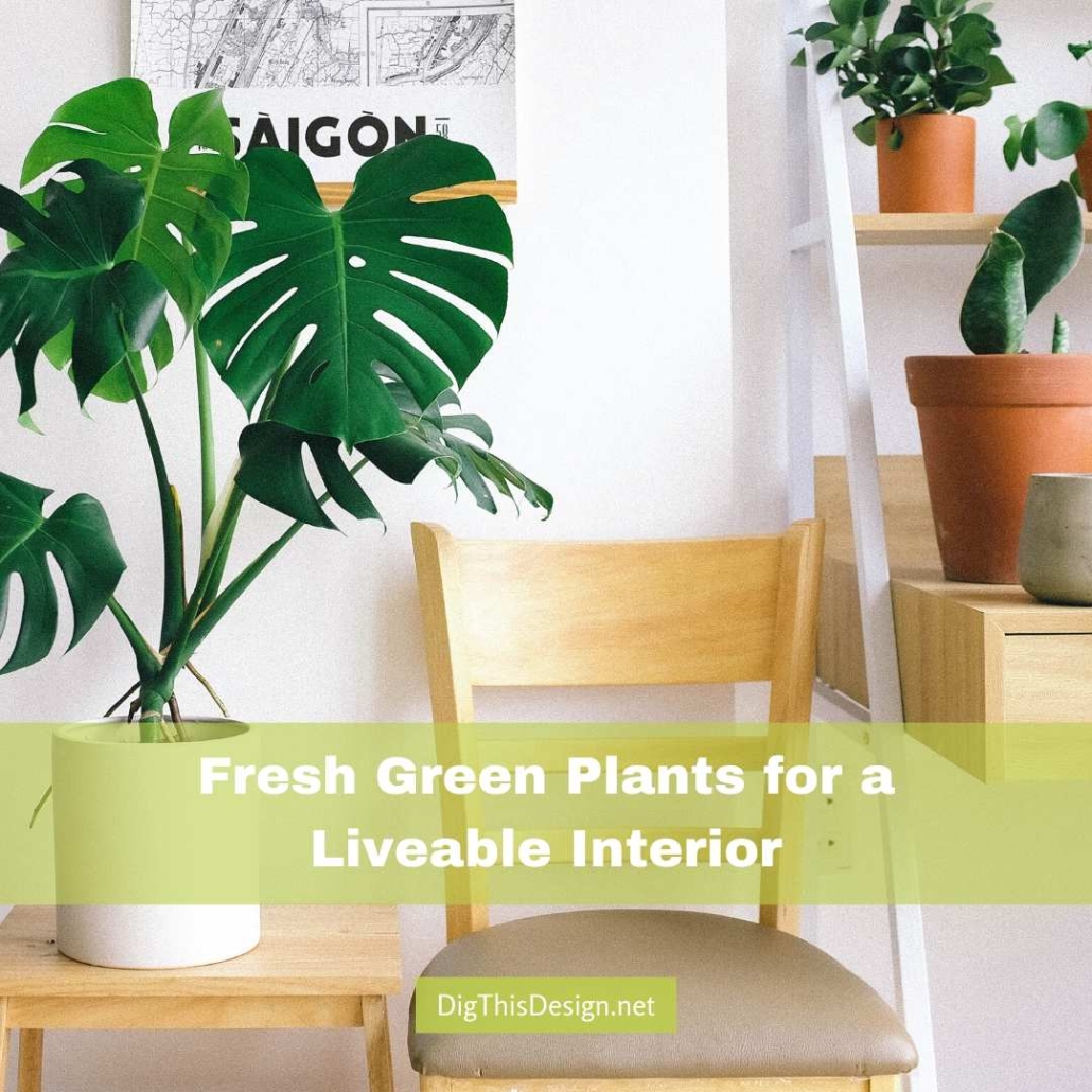 Fresh Green Plants for a More Liveable Interior - Dig This Design
