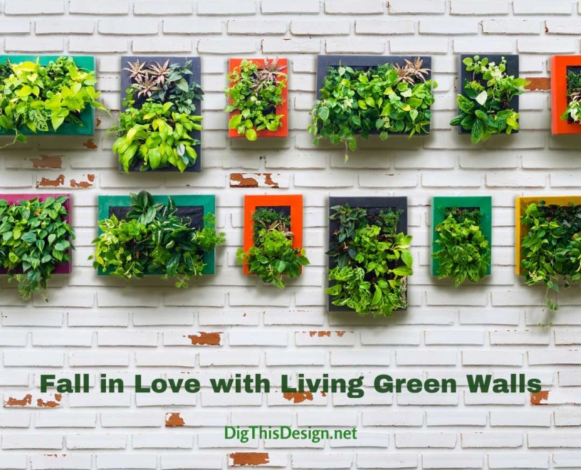 Best Green Home Ideas & Designs | Dig This Design