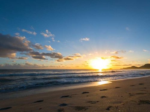 9 Beautiful Ways to Bring Nature Into Your Home - Dig This Design