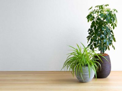 3 Ways to Bring Natural Style Into Your Beautiful Home - Dig This Design