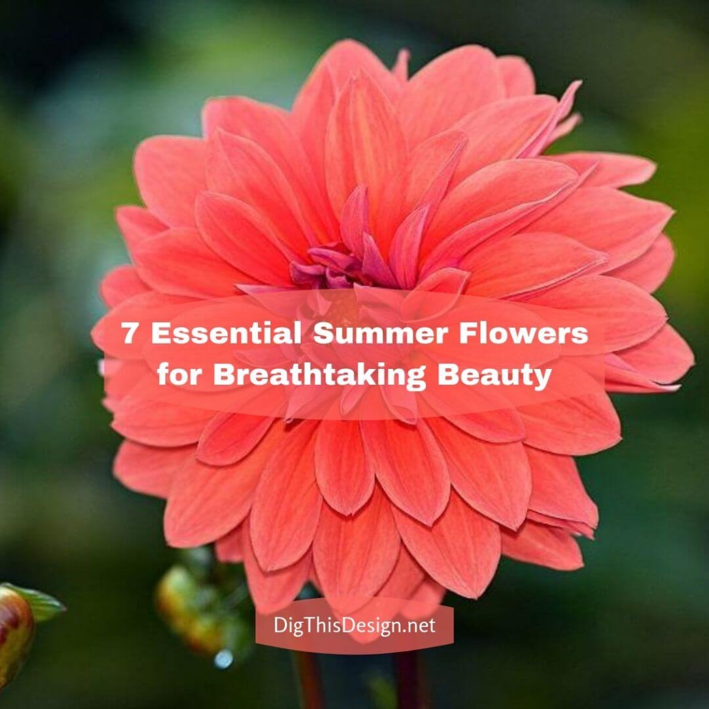 7 Essential Summer Flowers for Breathtaking Beauty - Dig This Design