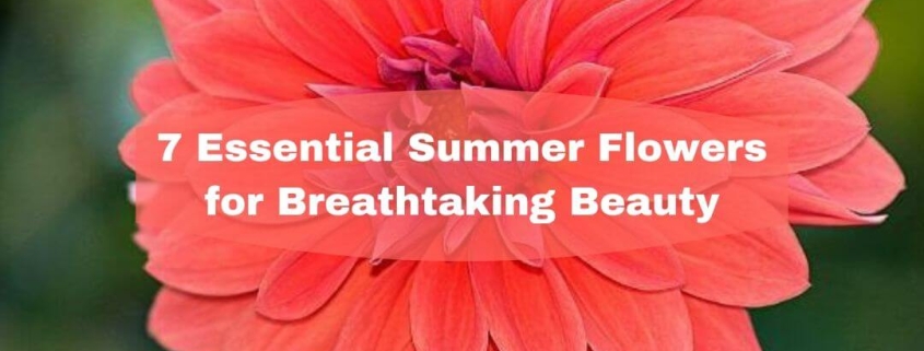 7 Essential Summer Flowers for Breathtaking Beauty - Dig This Design