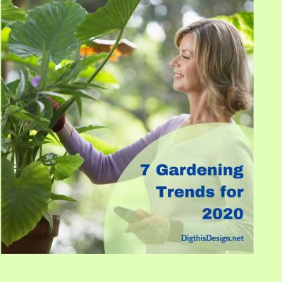 7 Gardening Trends for 2020 - Dig This Design