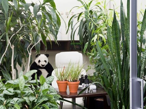 Why Green Space in the Workplace is Important for Wellness and ...