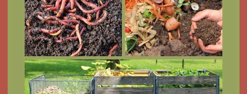 Green Living: How Worms Help Your Compost - Dig This Design