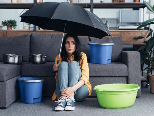 A Guide to Protecting Your Home from Water Damage - Dig This Design