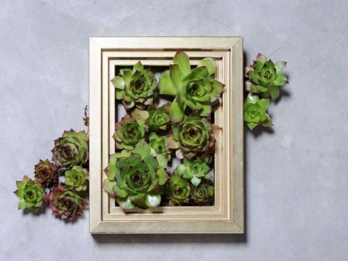 Livening Up Your Home with Pictures & Décor - Dig This Design