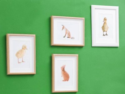 Livening Up Your Home with Pictures & Décor - Dig This Design