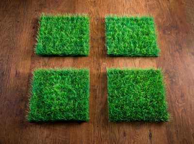 The Different Types of Turf Available at Turf Distributors - Dig This ...
